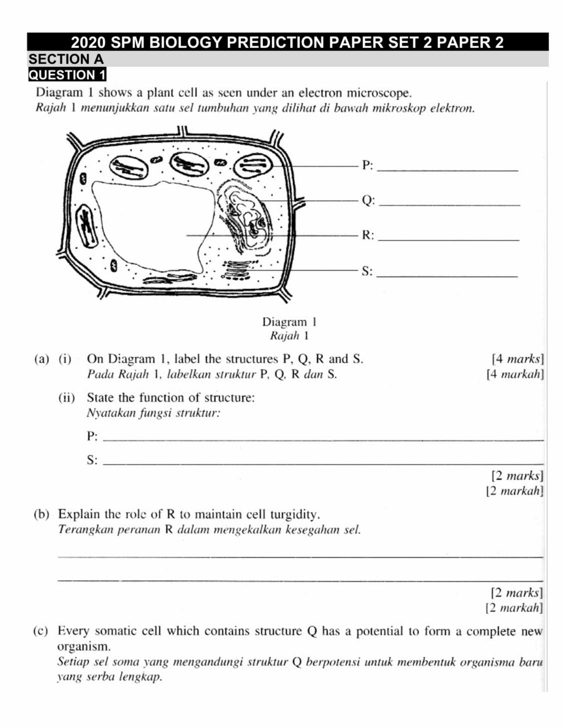 BIOLOGY SPM RAMALAN 2020 – TestNote.com